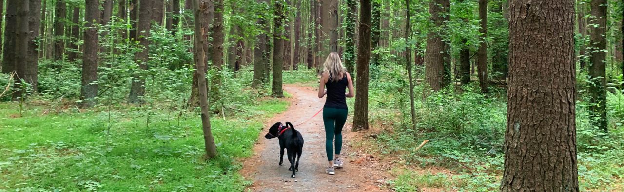 Walk-and-Talk Therapy | Indigo Wellness Inc